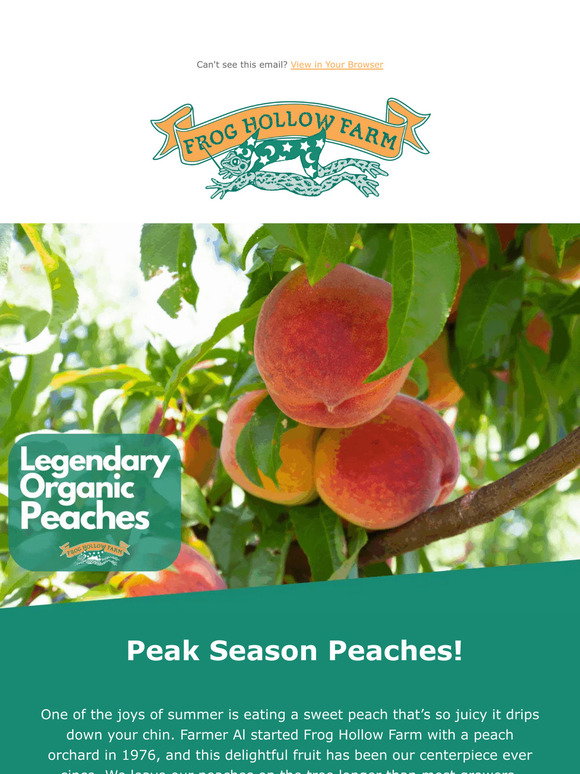 Frog Hollow Farm: Get Your Legendary Organic Peaches Now! 🍑 ️ | Milled