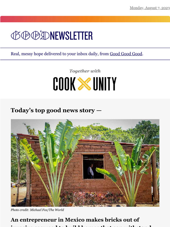 Good Good Good: 🗞️ Good News: Invasive seaweed bricks build hurricane ...