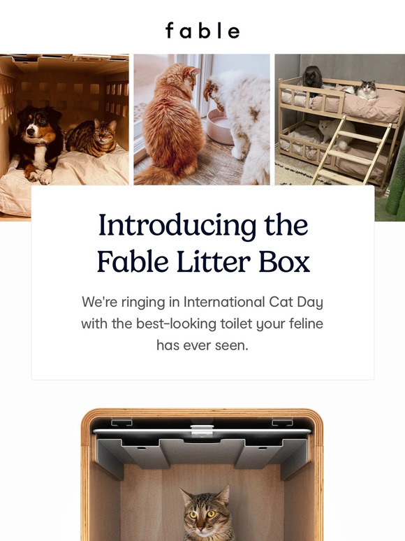 Fable Pets: This one’s for our feline friends 🐈 | Milled