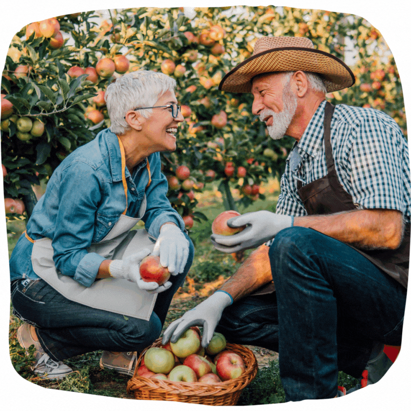 Focus Factor: Formulas For You, And Them! 🎁 | Milled