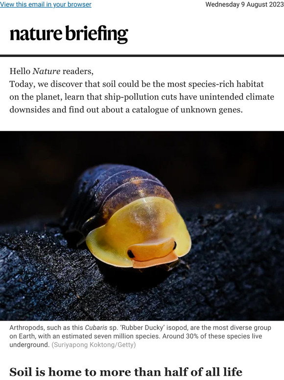 Nature: More than half of all life on Earth lives underground | Milled