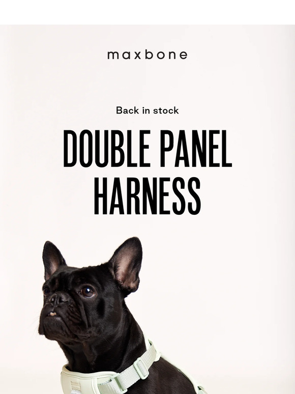 Maxbone: Everyone's Favorite Harness Is Back | Milled