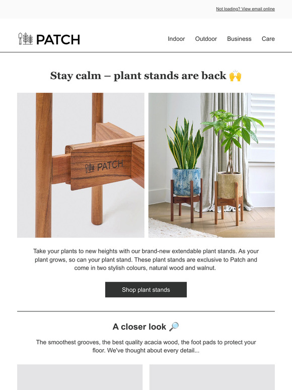 Patch Plants: Plant stands are back 🎉 | Milled
