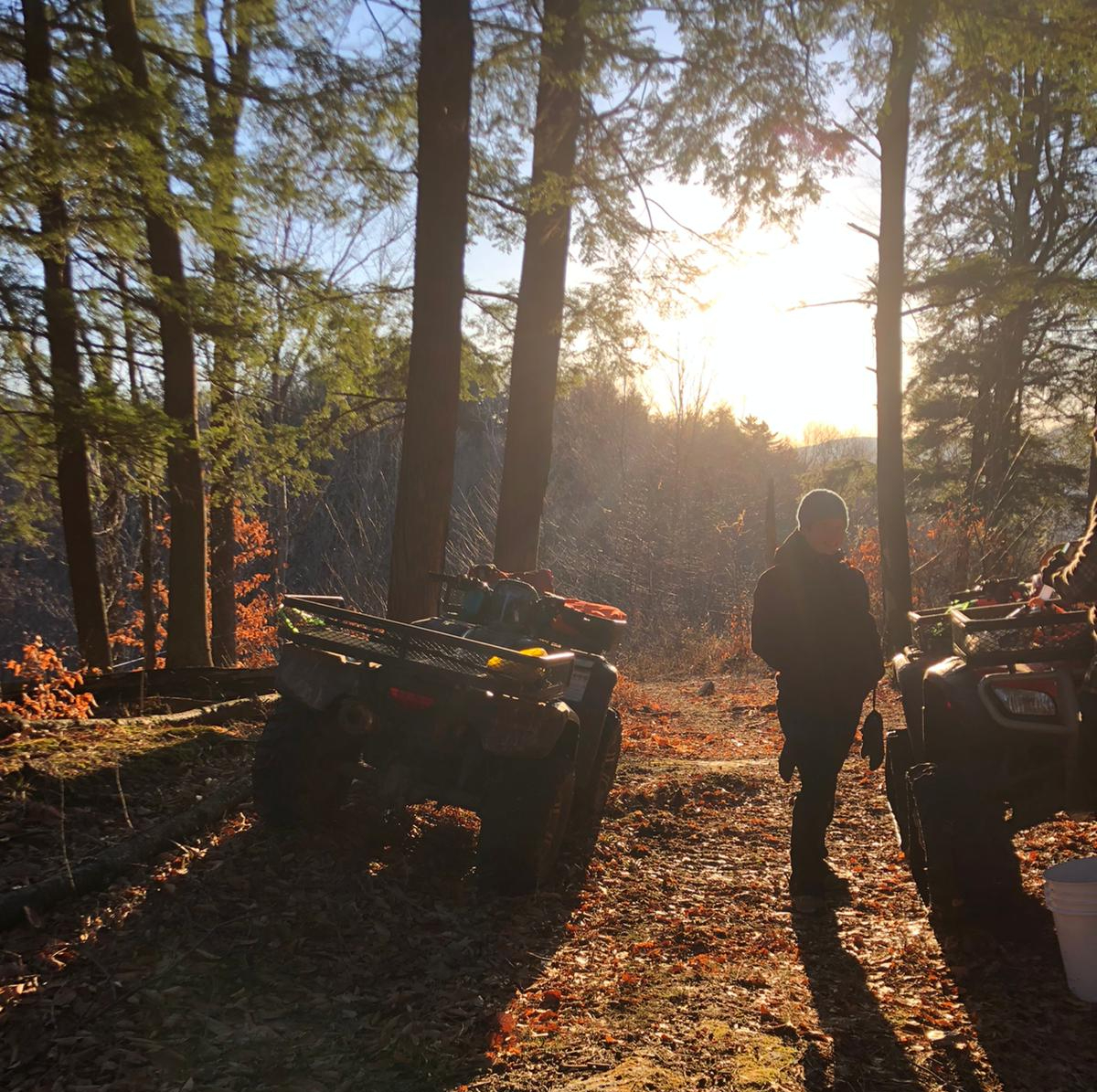 Runamok Maple: What makes maple syrup "bird-friendly"? | Milled