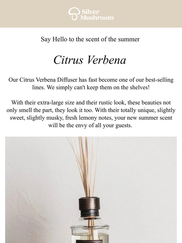Silver Mushroom: Citrus Verbena Diffuser | Milled