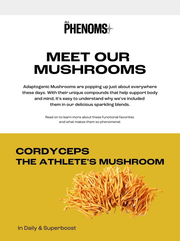 All Phenoms: Meet Our Mushrooms | Milled