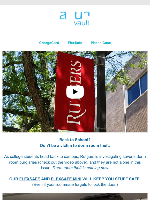 FlexSafe by AquaVault: The Ultimate Portable Travel Safe: Don't be a ...