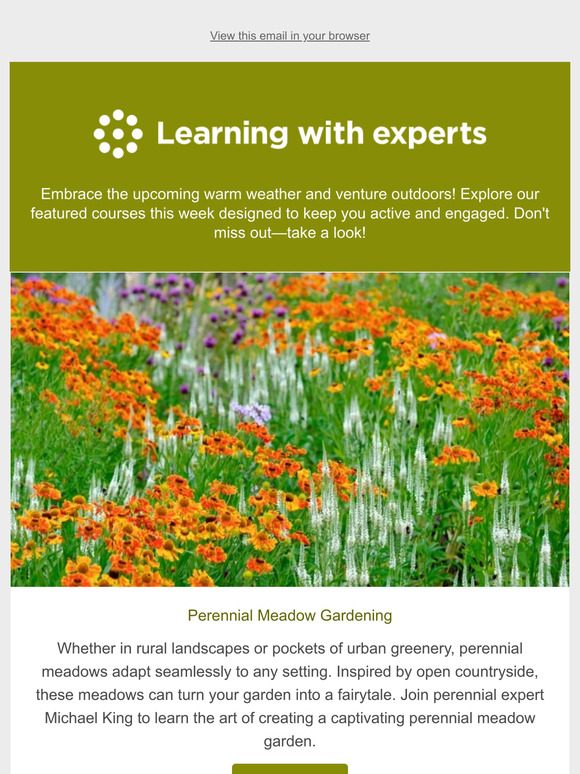 Learning with Experts: Journey into the Enchanting Realm of Roses with ...
