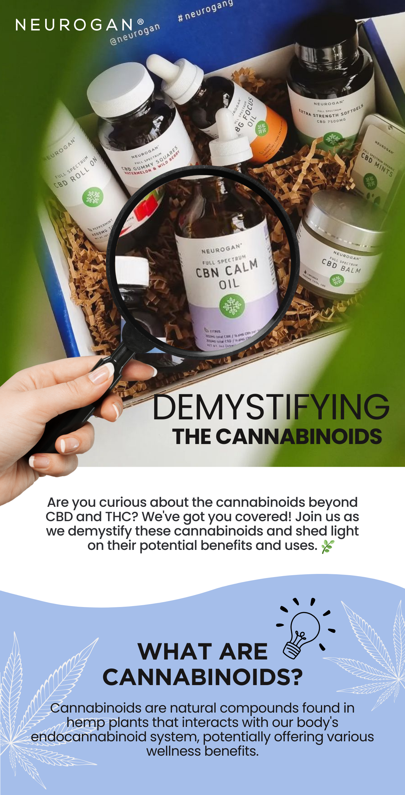 Neurogan: 🎓CBD Education: Demystifying The Cannabinoids 🌿 | Milled