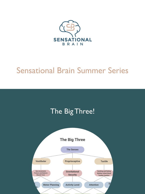 Sensational Brain: 👀 Free Heavy Work and Big Three Downloads INSIDE ...