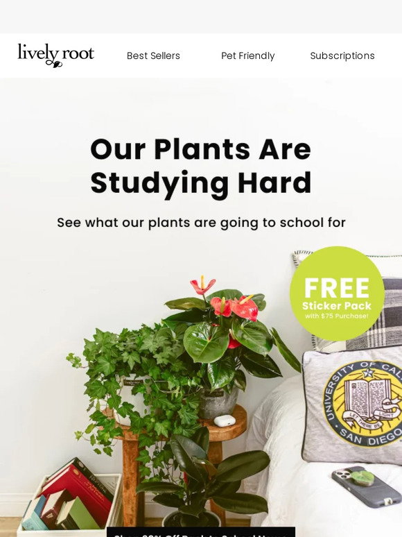 Lively Root: See What Our Plants Are Going to School For 📝🌱 | Milled