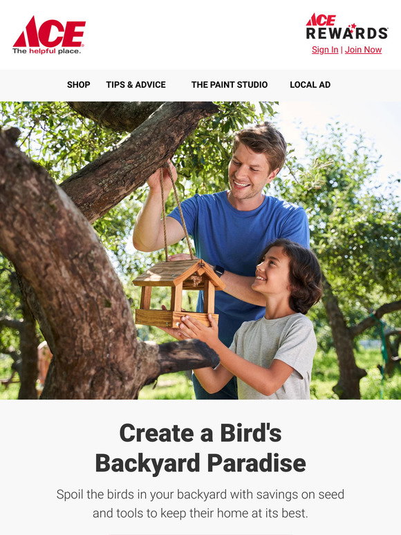 Ace Hardware: Deals & Tips to Welcome Birds to Your Yard | Milled