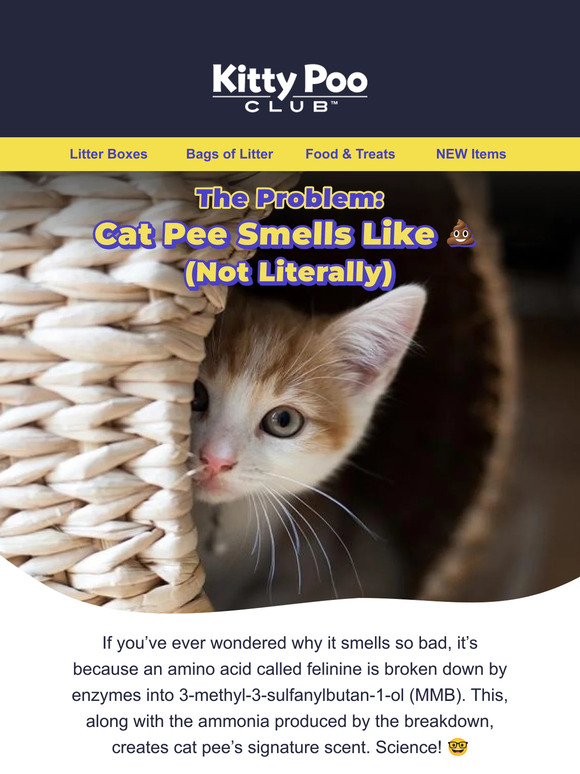Kitty Poo Club: The solution for stinky litter | Milled