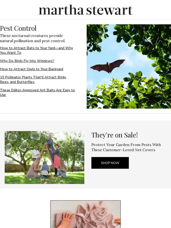 Martha Stewart: How to Attract Bats to Your Yard | Milled