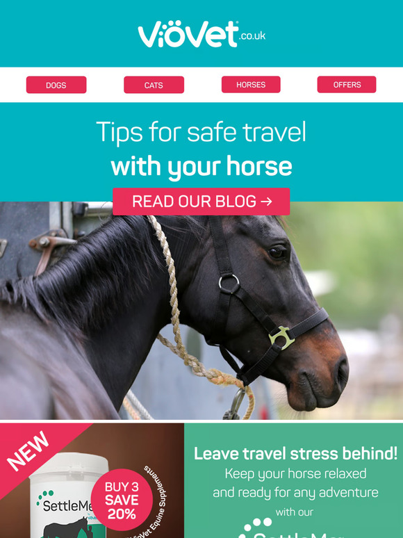 Viovet: Travel safety tips for your horse | Milled