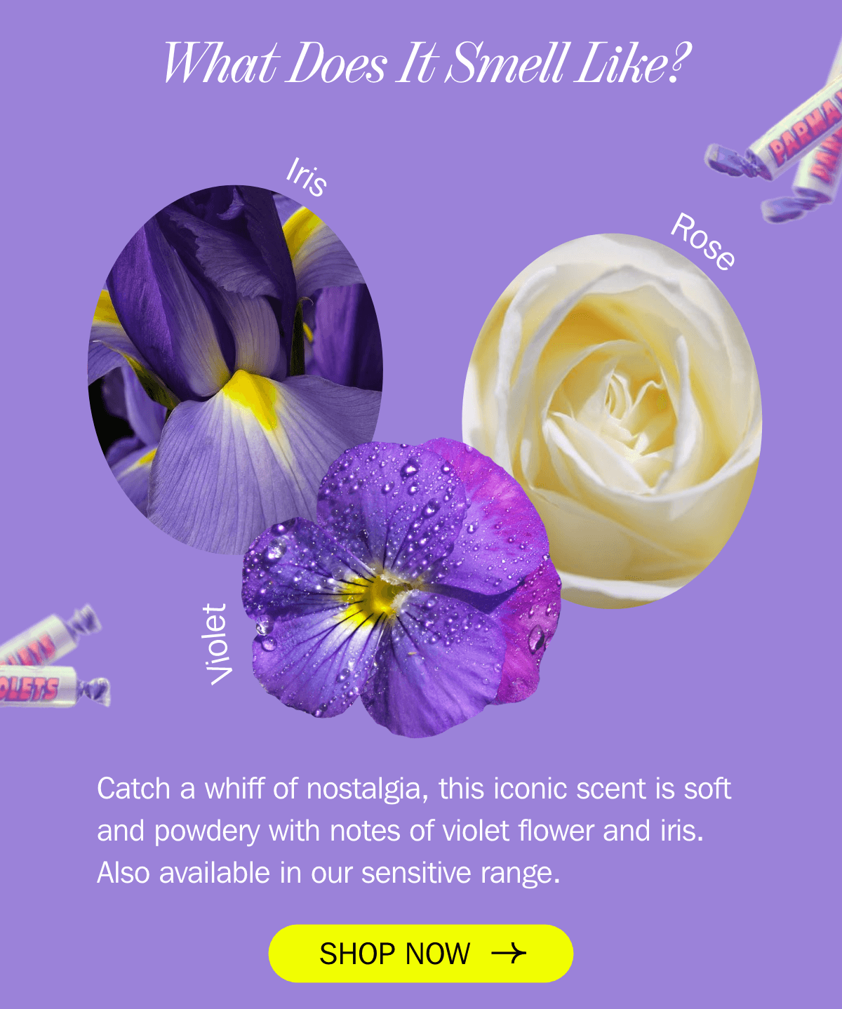 Fussy: Smell Iconic With Parma Violets 💜🍬 | Milled