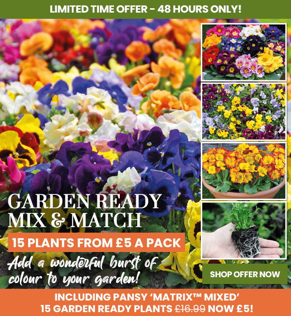 Dobies: 15 Garden Ready Plants FROM £5 A Pack! Mix & Match Special | Milled