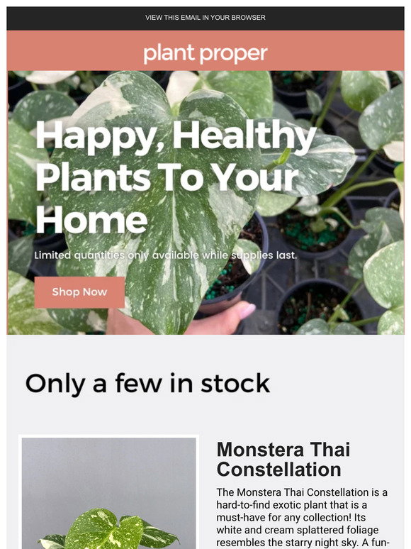Plant Proper: 🌿 Last Chance: Grab Your Favorite Plants Before They're ...