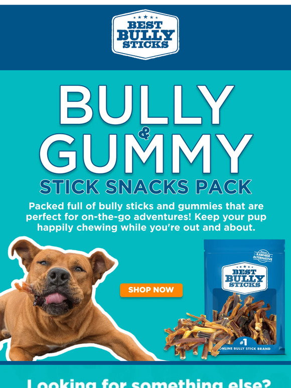 Best Bully Sticks: A Closer Look 🔎 Bully & Gummy Snack Pack | Milled