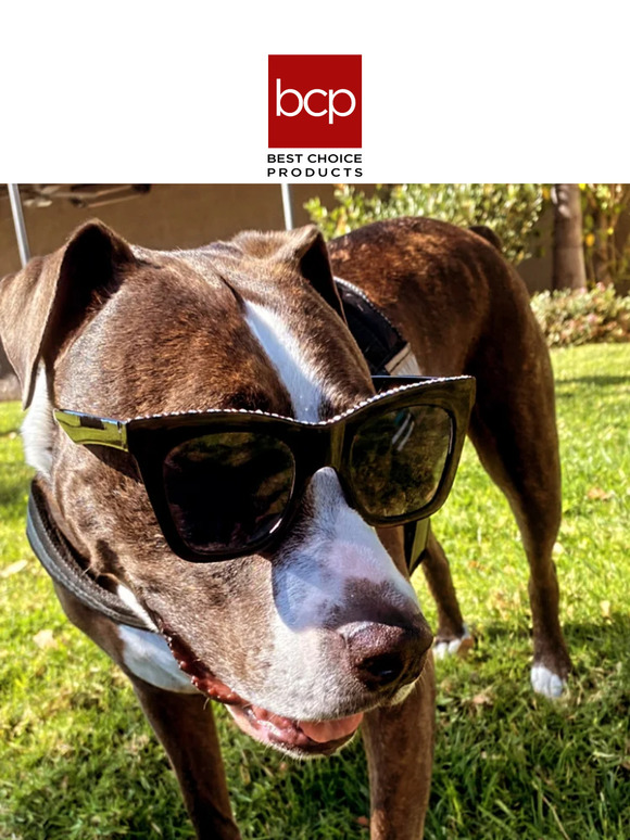 Best Choice Products: The paws and whiskers behind BCP | Milled