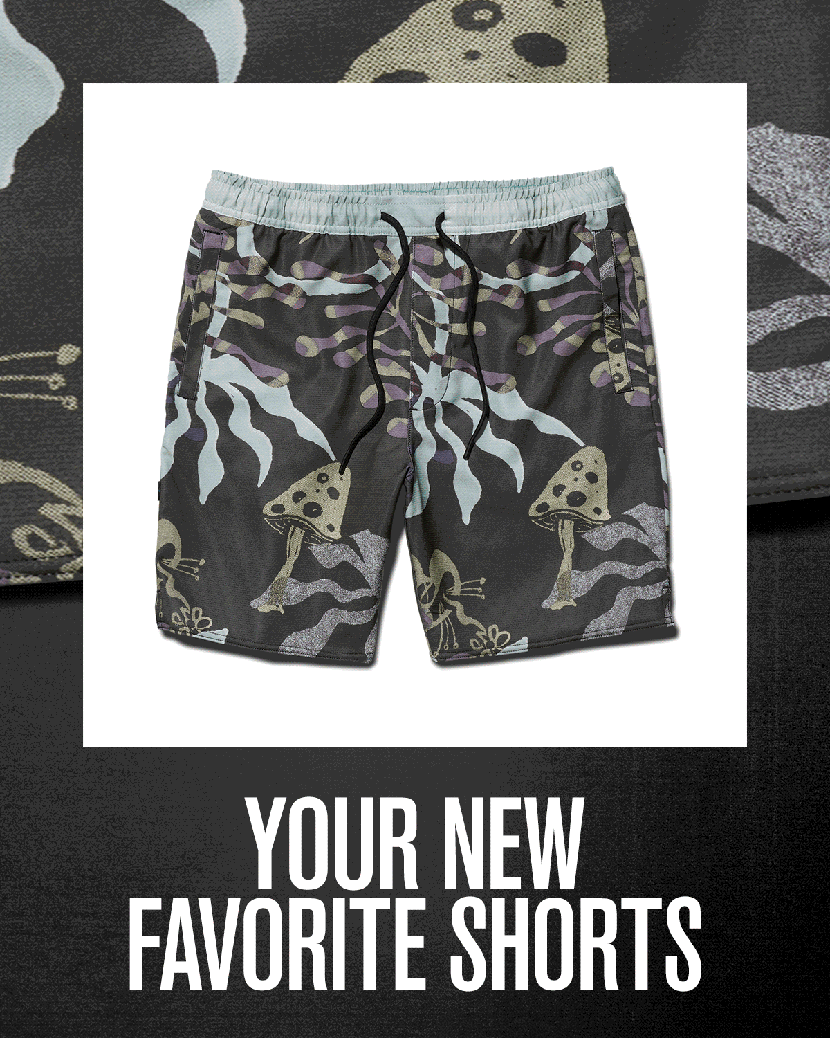 Stance: Fresh New Colorways For The Complex Short | Milled