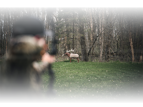 FeraDyne: Choose GlenDel 3D Archery Targets | Milled