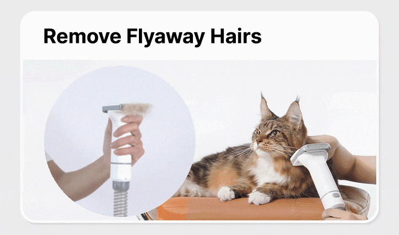 Neakasa: Special new product announcements inside | Milled