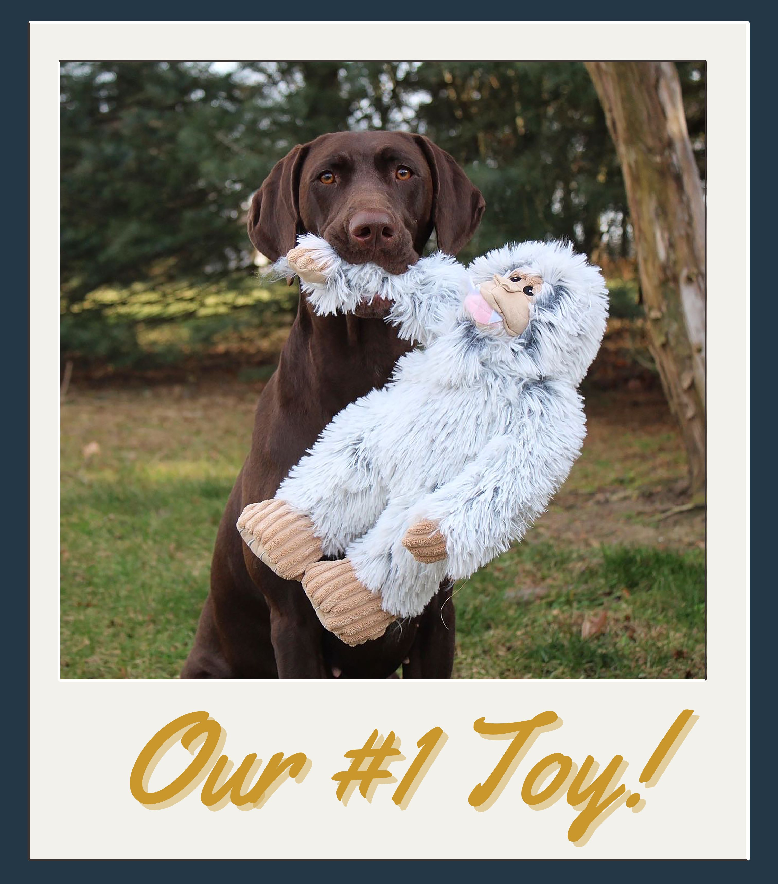 Tall Tails: The Tall Tails Yeti Stands Tall! | Milled