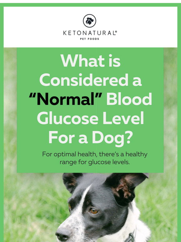 KetoNatural Pet Foods: What is considered a normal glucose level for a ...