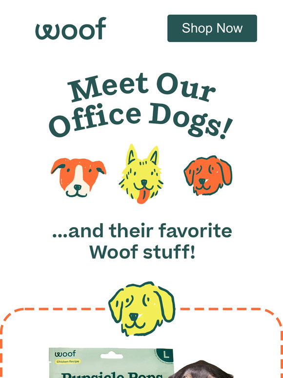 Woof: Meet the office dogs at Woof...🐩 🐕 🐕‍🦺 | Milled