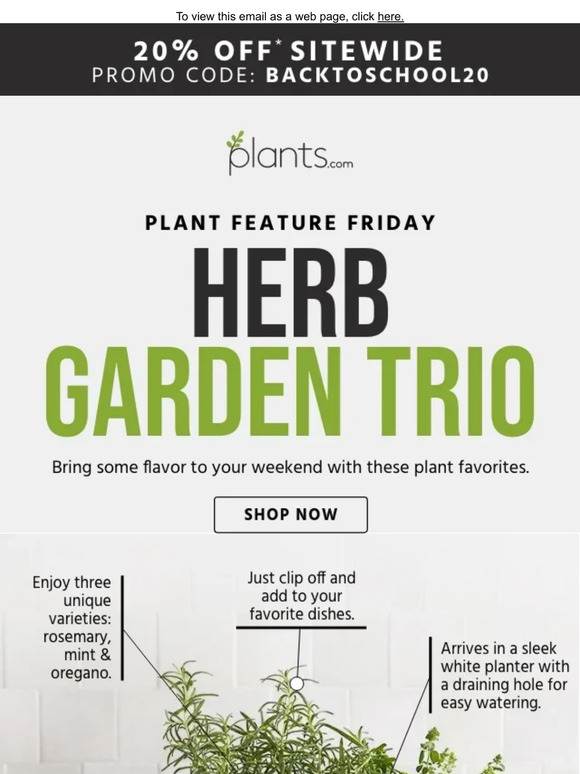 Plants com au - Send Plants as Living Gifts: Now Trending: Herb Plants ...