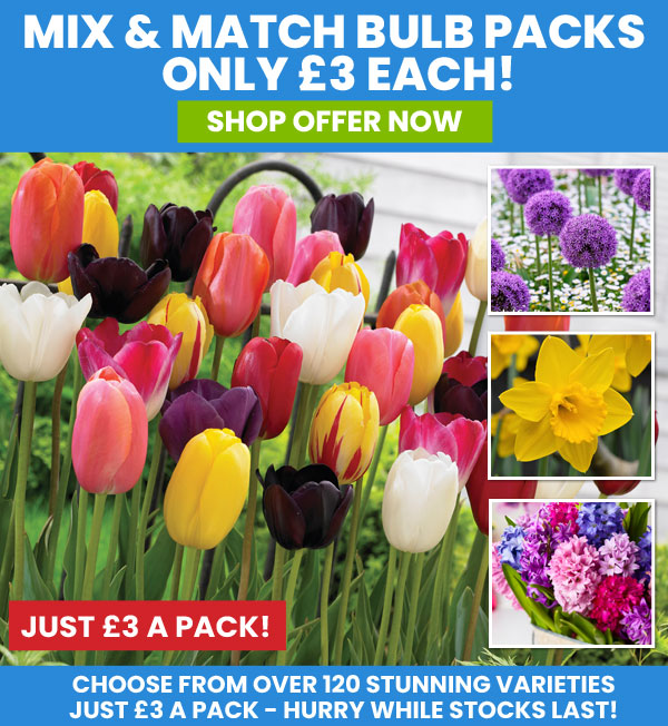 Suttons Seeds: Only £3! Mix & Match Bulb Packs | Milled