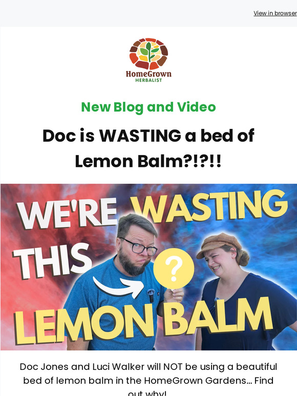 HomeGrown Herbalist: Doc is WASTING a bed of Lemon Balm?! - New Video | Milled