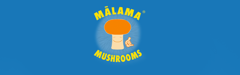 Malama Mushrooms: 4 Ways to Use Your Mālama Mix☕🍵🍞 | Milled