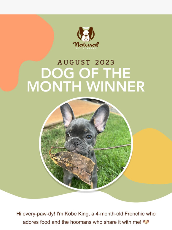 Natural Dog Company: Meet Kobe – Our August Dog of the Month! | Milled