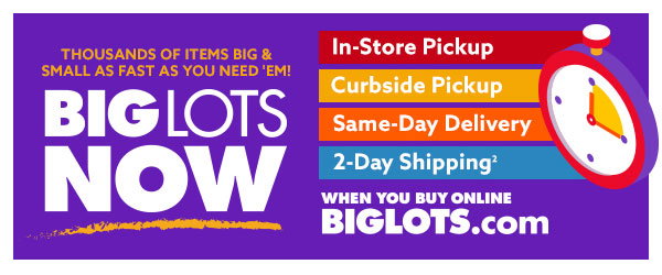 Big Lots: Where'd you go? Ready to checkout? | Milled
