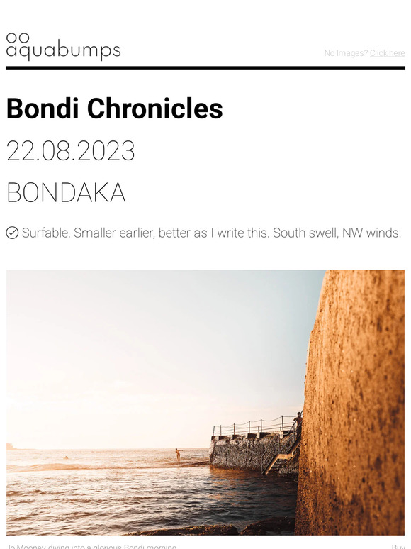 Aquabumps: : : Bondi Chronicles | Milled