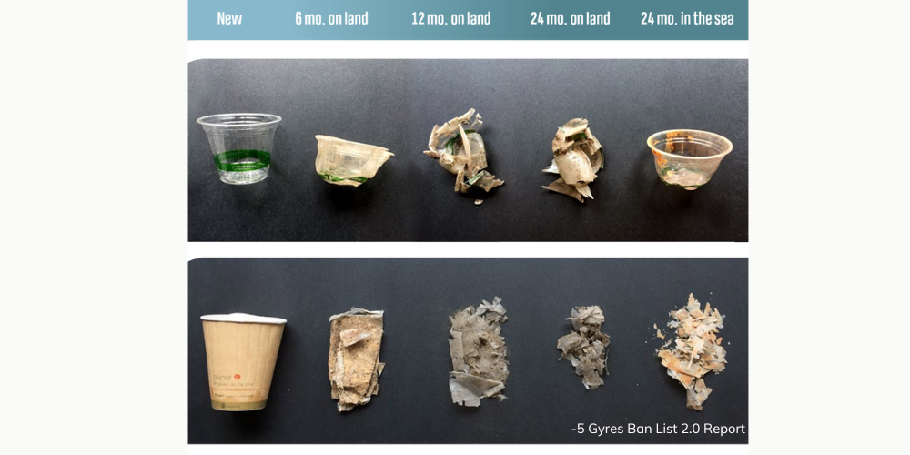 MABLE: The Ugly Truth About Bioplastics | Milled