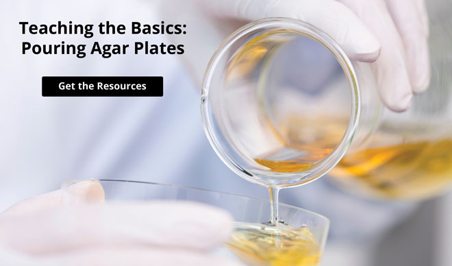 Carolina: Lab skills: pouring agar plates | Milled