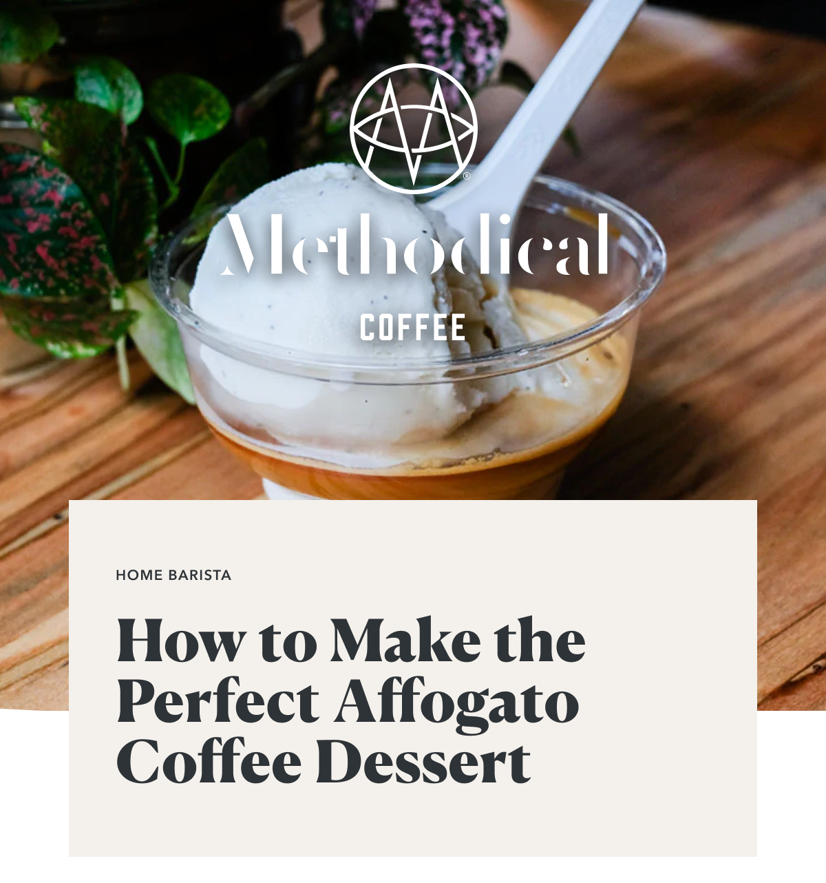 Methodical Coffee: ☕️ How to Make the Perfect Affogato Coffee Dessert ...
