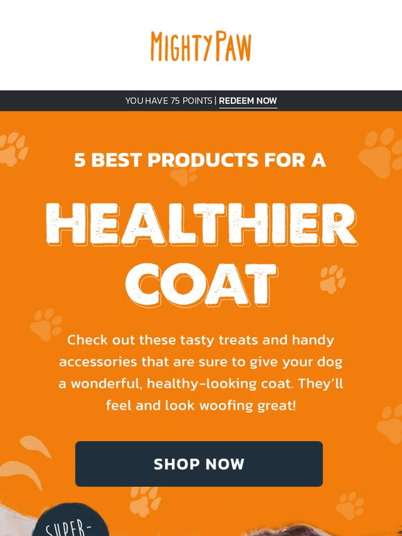 Mighty Paw: 5 best products for a healthy coat | Milled