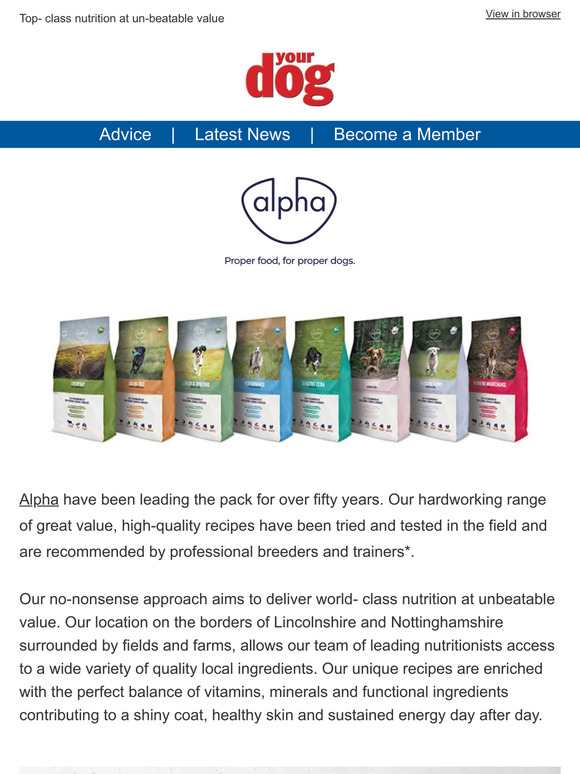 Your Dog: Proper Food For Proper Dogs | Milled