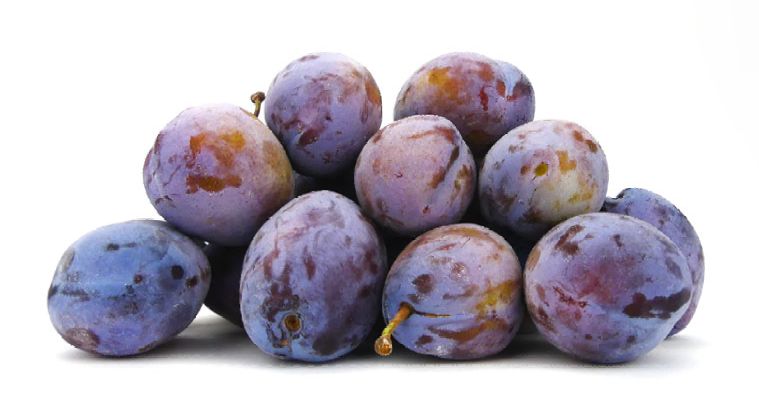 Groentebroer: We vertellen je alles over onze pruimen 🎊 | Milled