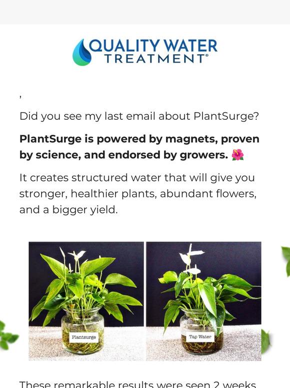 Quality Water Treatment: 💧 PlantSurge vs. Ordinary Water | Milled