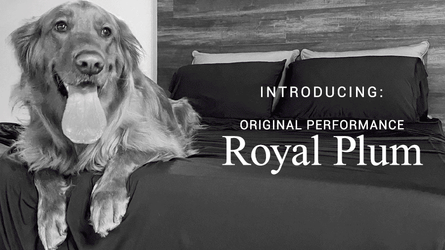 Sheex: Introducing the Newest Color: Royal Plum | Milled