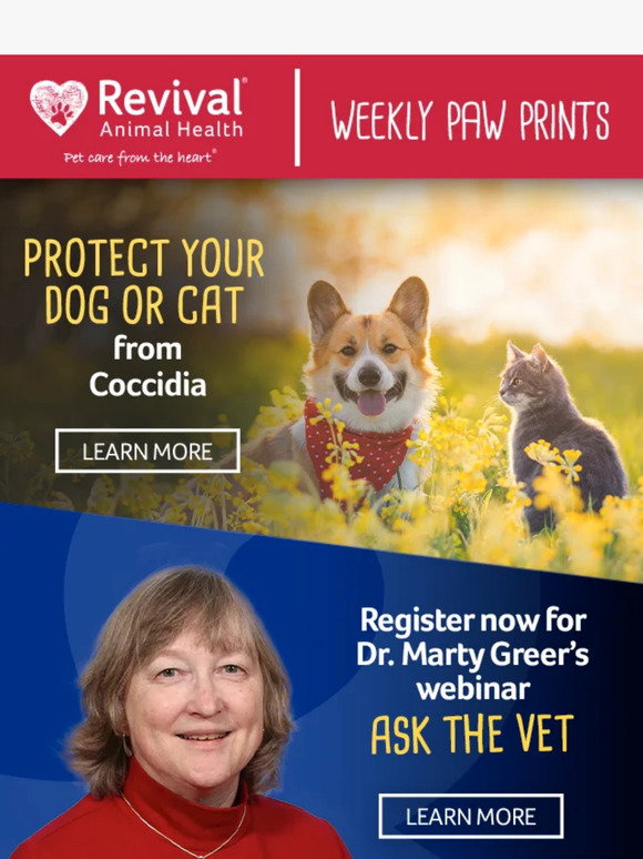 Revival Animal Health: Coccidia-How Do I Protect Pets from It? | Milled