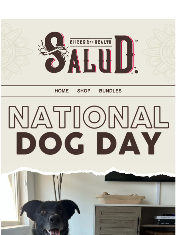 Taste Salud: It’s National Dog Day! 🐶 | Milled