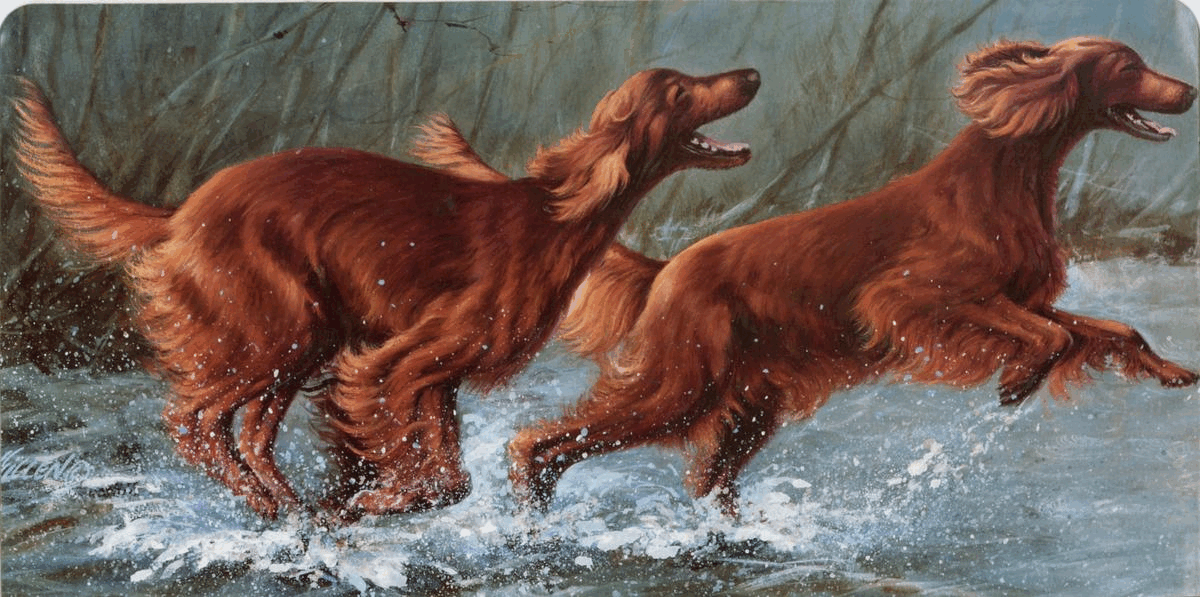 Irish Setter Boots: Our Brand Inspiration > Man's Best Friend | Milled