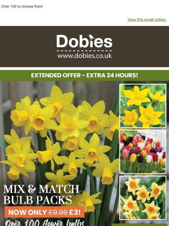 Dobies: Only £3! Mix & Match Bulb Packs EXTENDED 24 HOURS | Milled