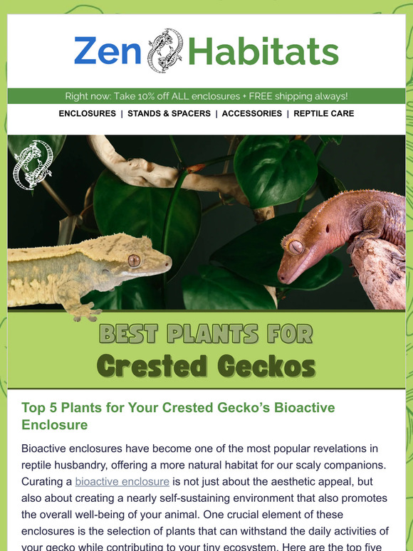 Zen Habitats: Top 5 Plants for Your Crested Gecko’s Enclosure 🦎🌿 | Milled